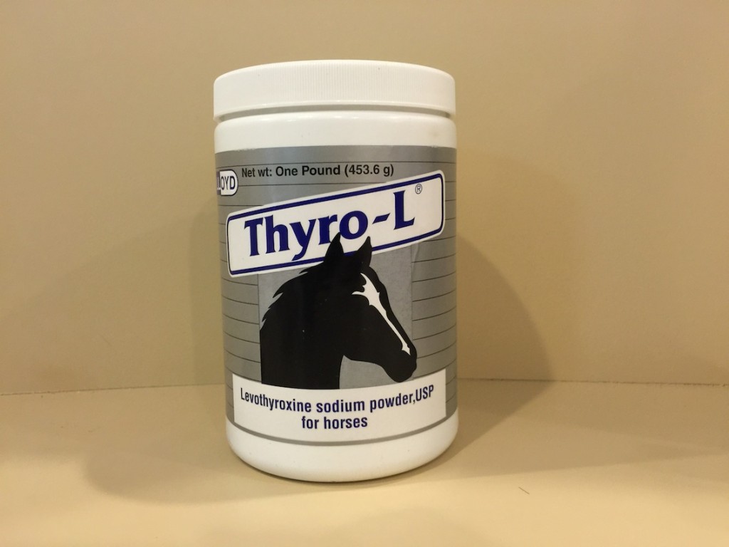 Thyro-L Powder 12 mg/scoop, 1 lb - Ferguson and Associates Equine Hospital